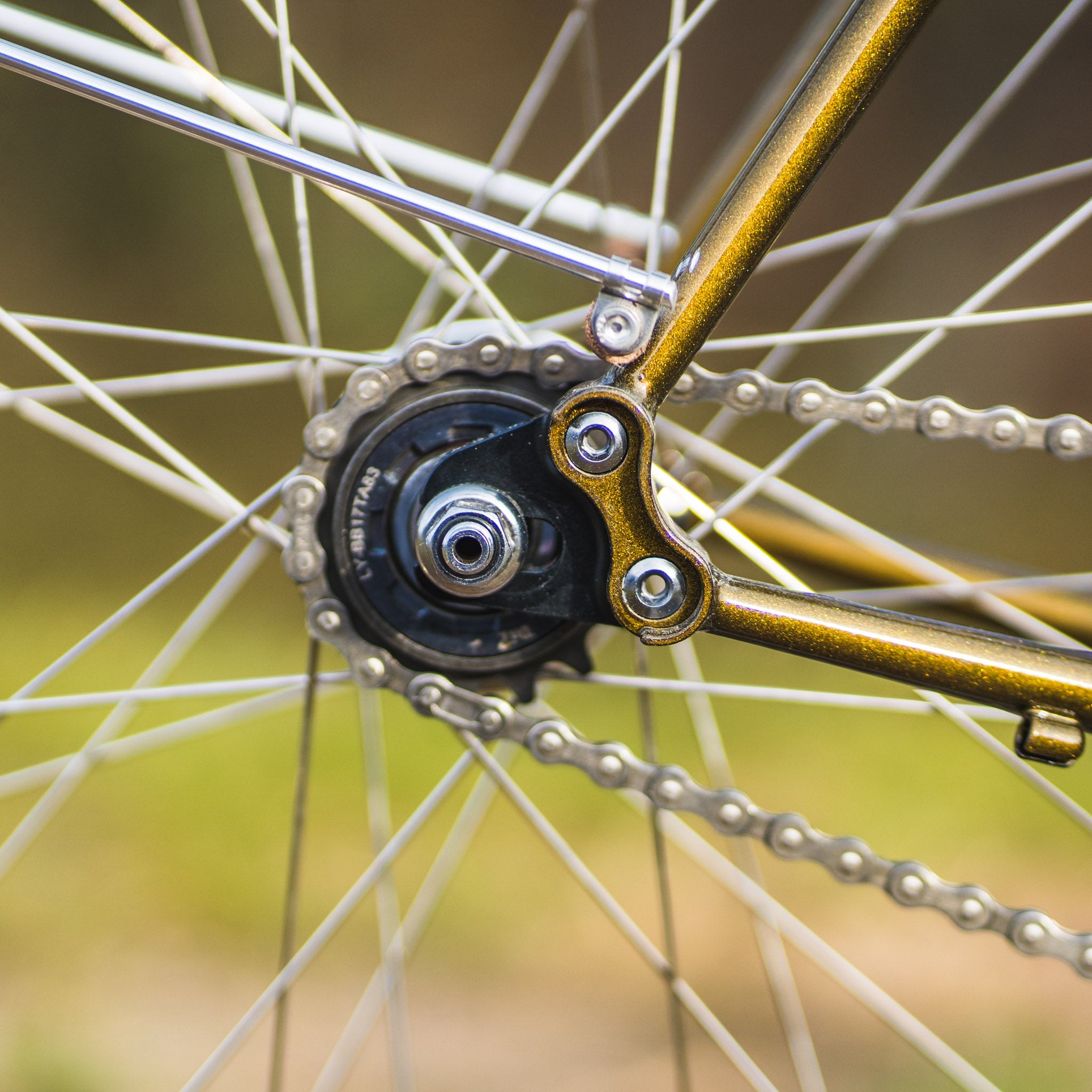 Rando Bike Frameset - Lightweight & Durable - Velo Orange